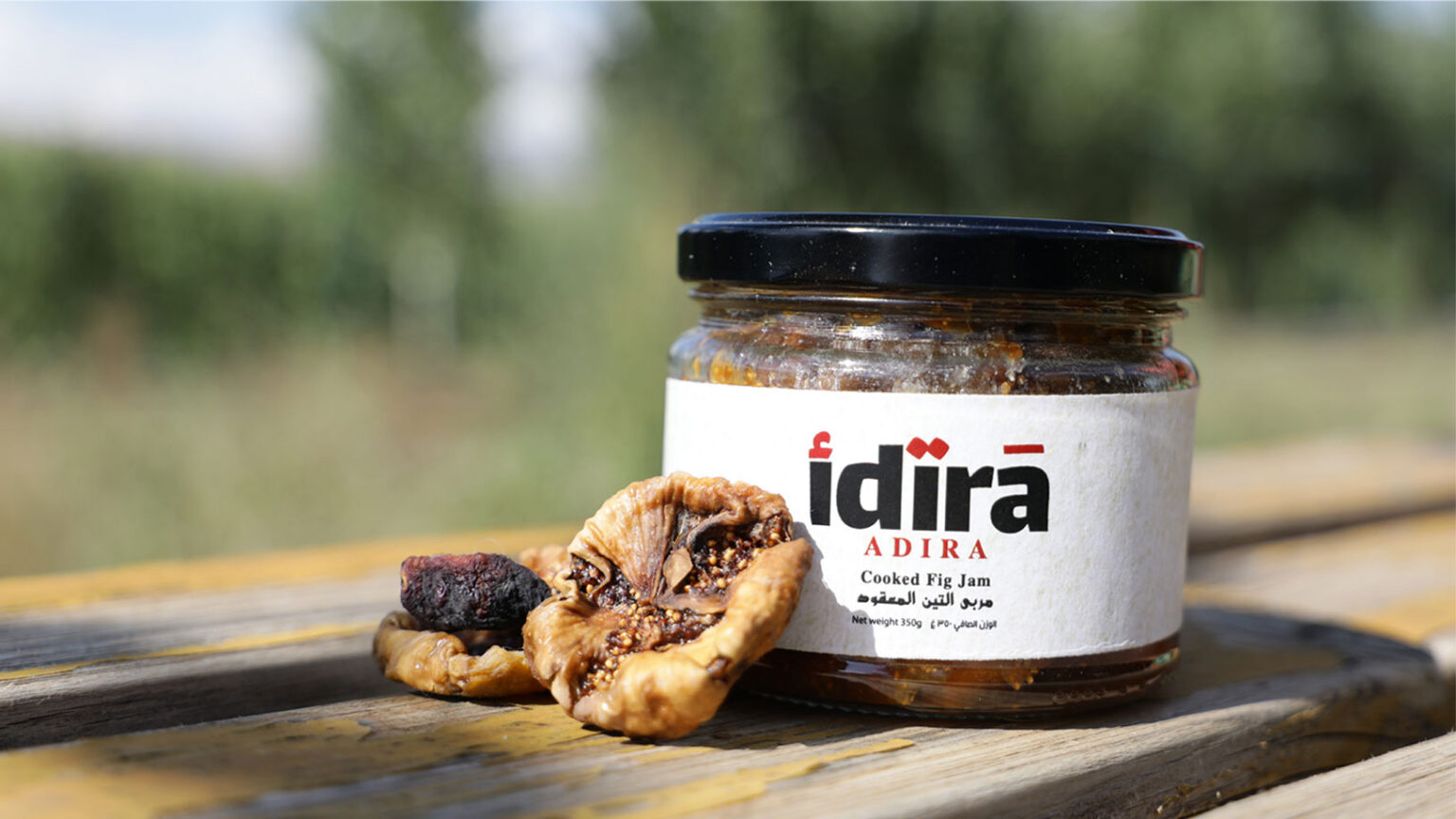 Michel Daher Foundation