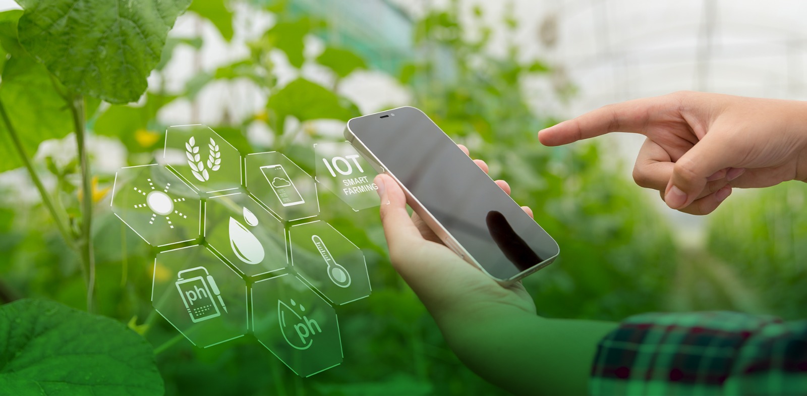 Michel Daher Foundation